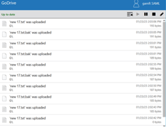 Getting Started with GoDrive